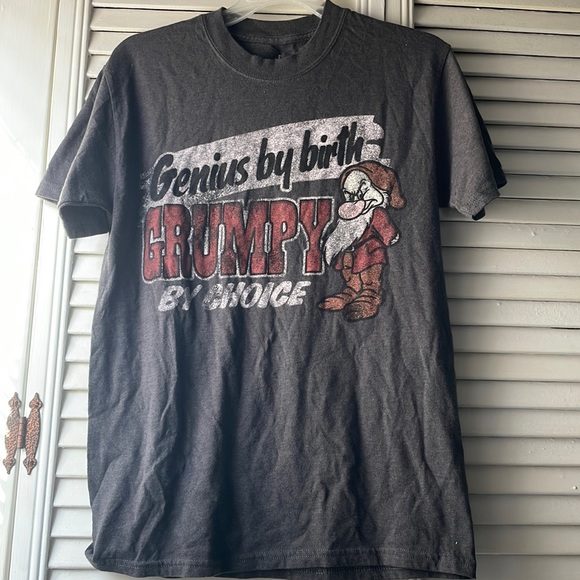 Disney | Tops | Disneyland Grumpy Tshirt | Poshmark